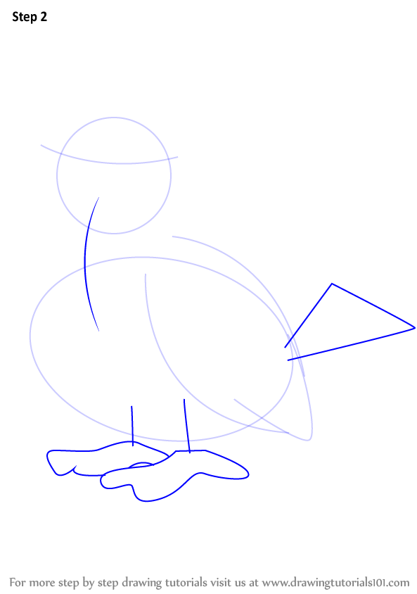 How to Draw Pidgey from Pokemon (Pokemon) Step by Step ...