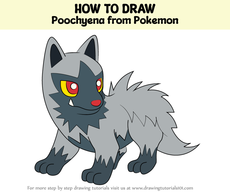 How to Draw Poochyena from Pokemon (Pokemon) Step by Step | DrawingTutorials101.com