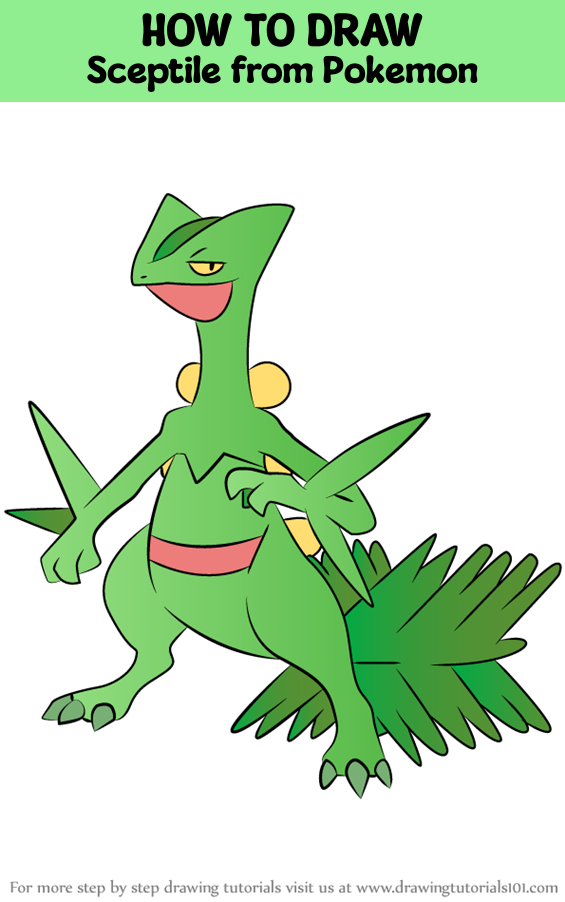 How to Draw Sceptile from Pokemon (Pokemon) Step by Step ...