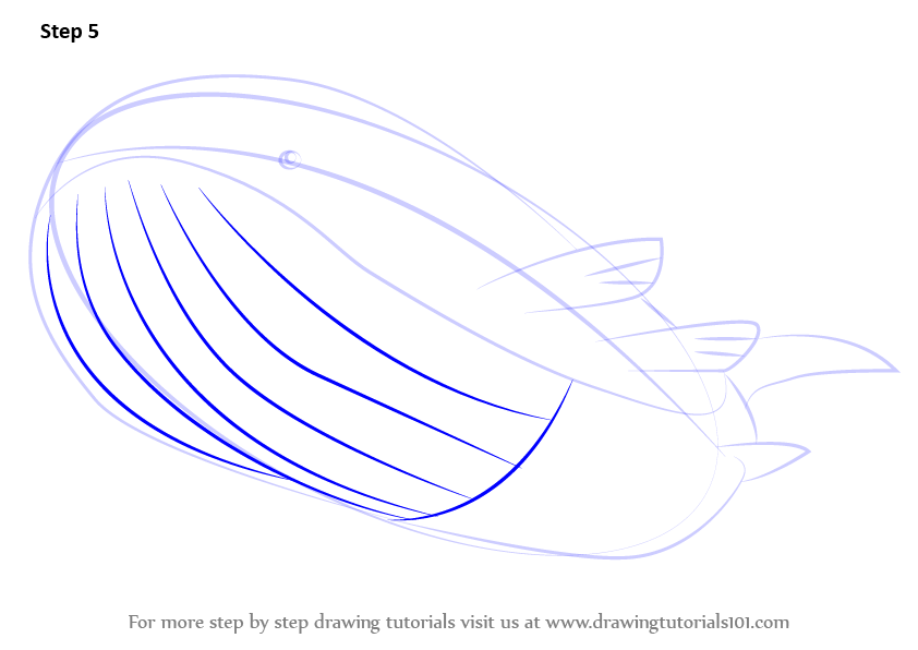 How to Draw Wailord from Pokemon (Pokemon) Step by Step ...