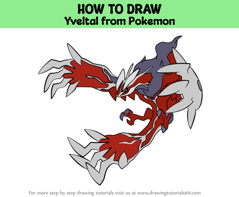 Learn How To Draw Yveltal From Pokemon Pokemon Step By Ken Sugimori
