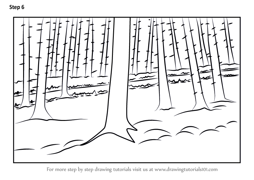 How to Draw Forest Trees (Forests) Step by Step | DrawingTutorials101.com