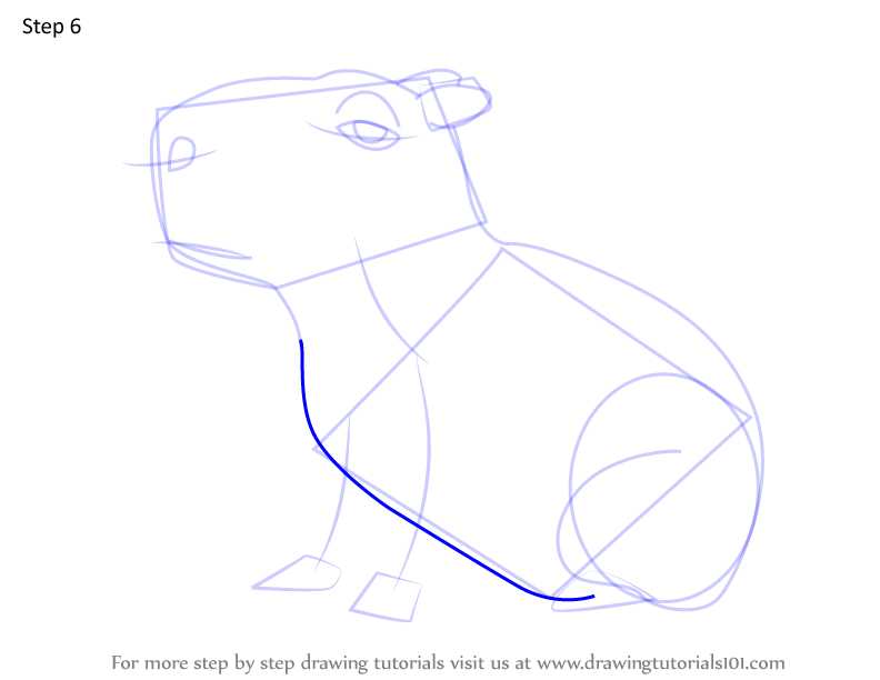 How to Draw Chispi from Encanto (Encanto) Step by Step ...