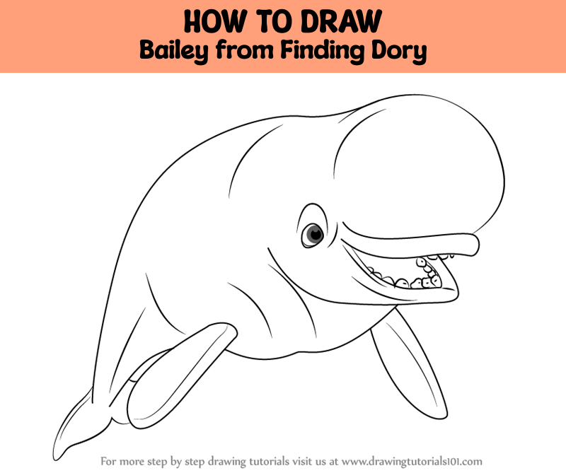 How to Draw Bailey from Finding Dory (Finding Dory) Step by Step ...