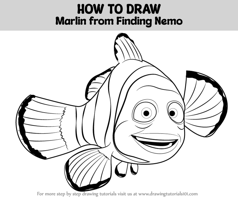 How to Draw Marlin from Finding Nemo (Finding Nemo) Step by Step ...