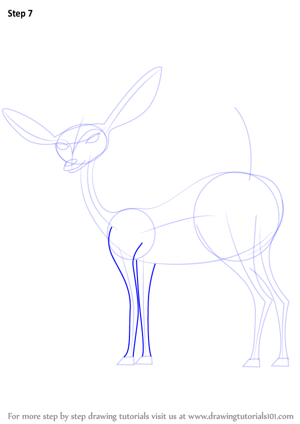 How to Draw Giselle from Open Season (Open Season) Step by Step ...