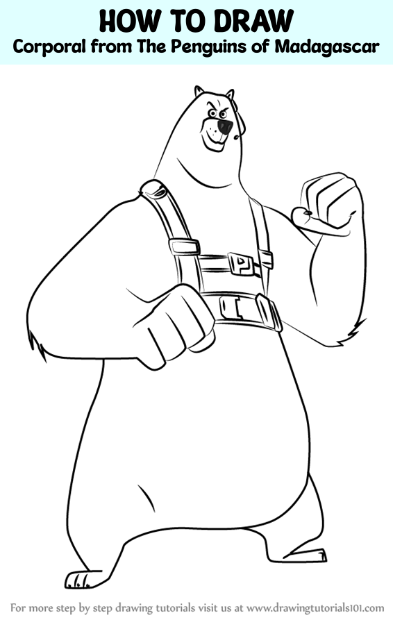 How to Draw Corporal from The Penguins of Madagascar (The Penguins of ...
