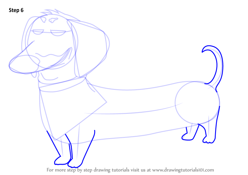 How to Draw Buddy from The Secret Life of Pets (The Secret Life of Pets ...