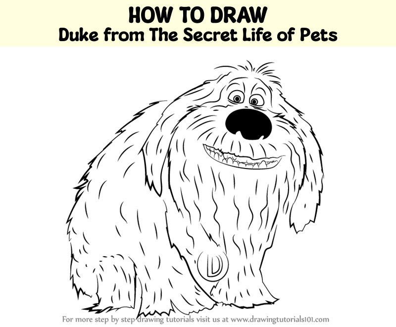 How to Draw Duke from The Secret Life of Pets (The Secret Life of Pets ...