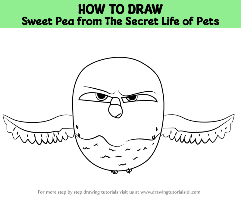 How to Draw Sweet Pea from The Secret Life of Pets (The Secret Life of ...
