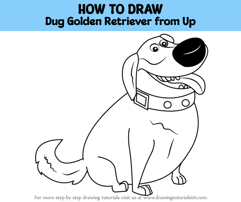 How to Draw Dug Golden Retriever from Up (Up) Step by Step | DrawingTutorials101.com