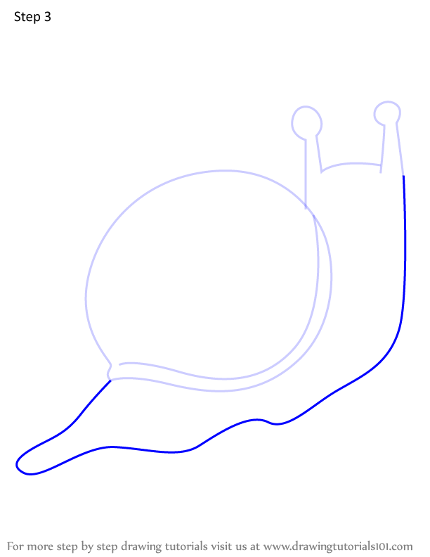 How to Draw Party Snail from Adventure Time (Adventure Time) Step by ...