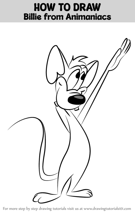 How to Draw Billie from Animaniacs (Animaniacs) Step by Step ...