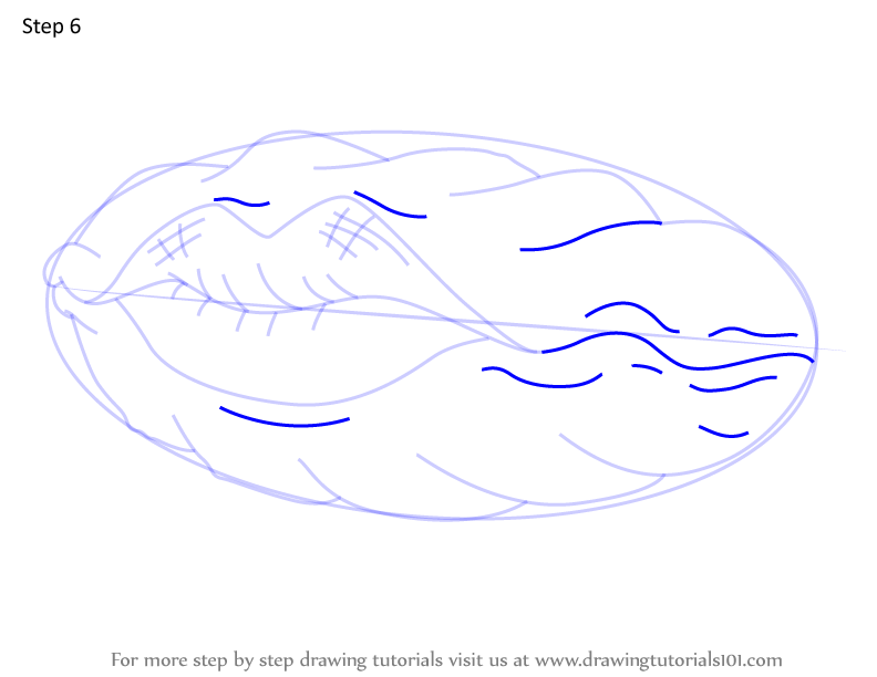How to Draw Mother Clam from Aqua Teen Hunger Force (Aqua Teen Hunger ...