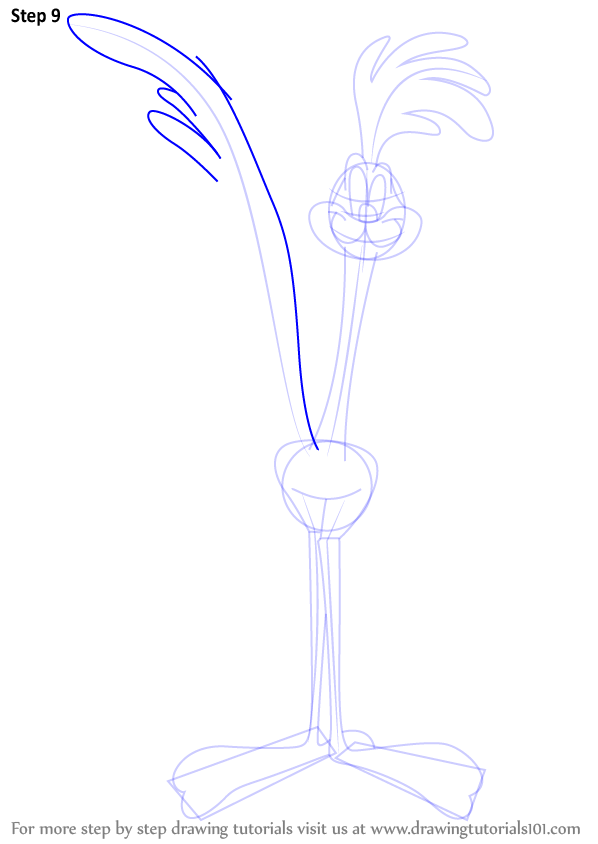 How to Draw Road Runner from Looney Tunes (Looney Tunes) Step by Step ...