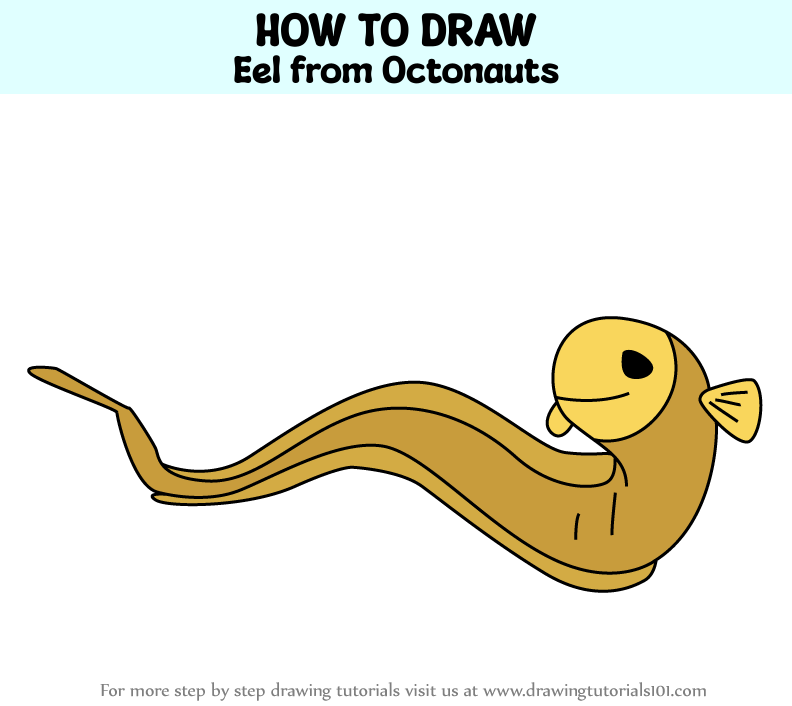How to Draw Eel from Octonauts (Octonauts) Step by Step ...