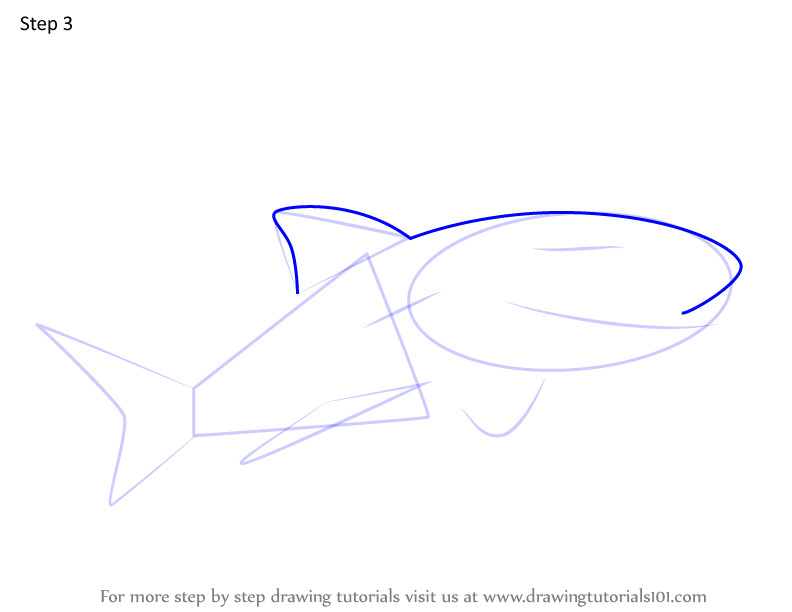 How to Draw Lemmy from Octonauts (Octonauts) Step by Step ...