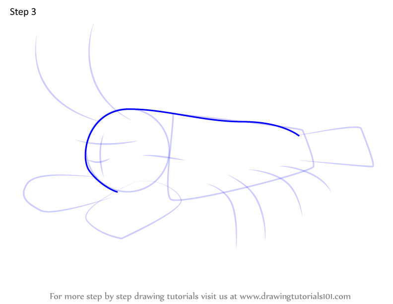 How to Draw Reef Lobsters from Octonauts (Octonauts) Step by Step ...