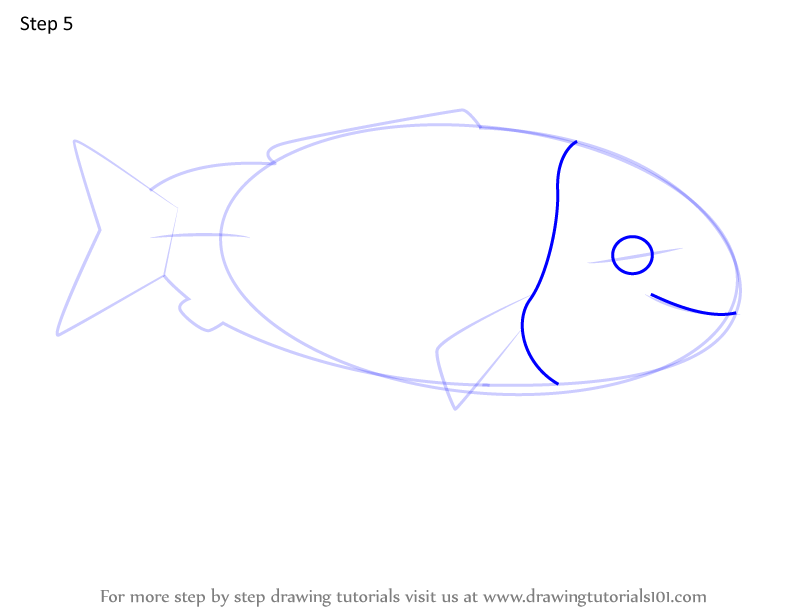 How to Draw Robert from Octonauts (Octonauts) Step by Step ...