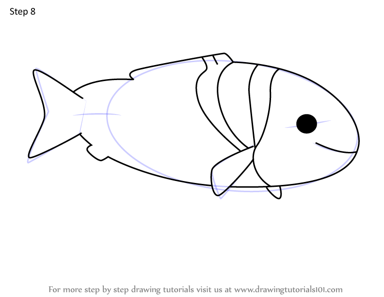 How to Draw Robert from Octonauts (Octonauts) Step by Step ...