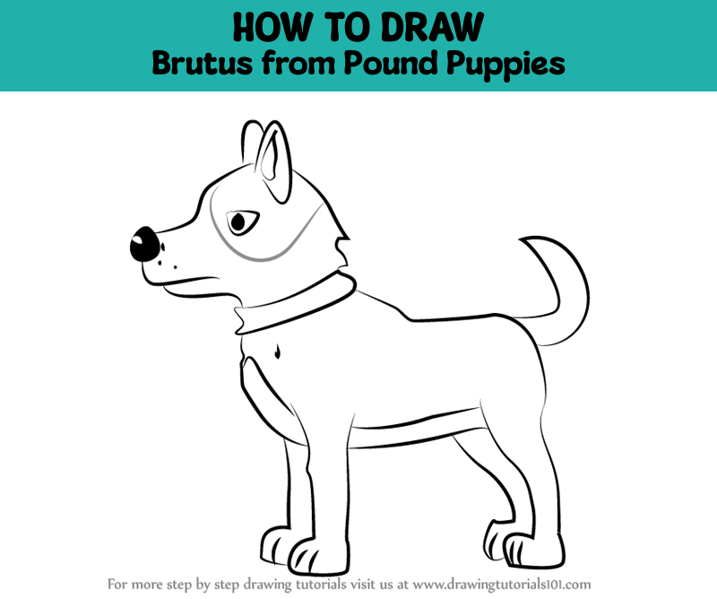 How to Draw Brutus from Pound Puppies (Pound Puppies) Step by Step ...