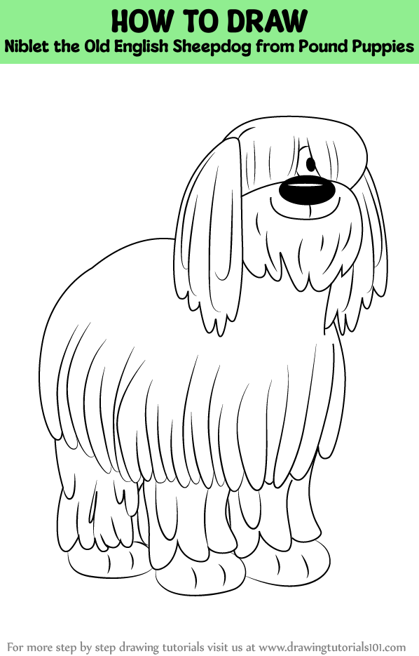 How to Draw Niblet the Old English Sheepdog from Pound Puppies (Pound ...