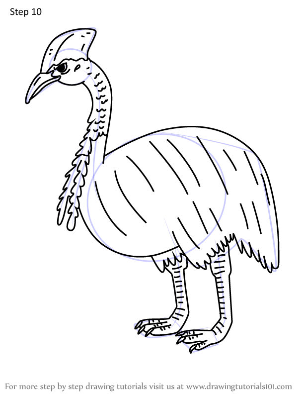 How to Draw Cassowary from Regular Show (Regular Show) Step by Step ...