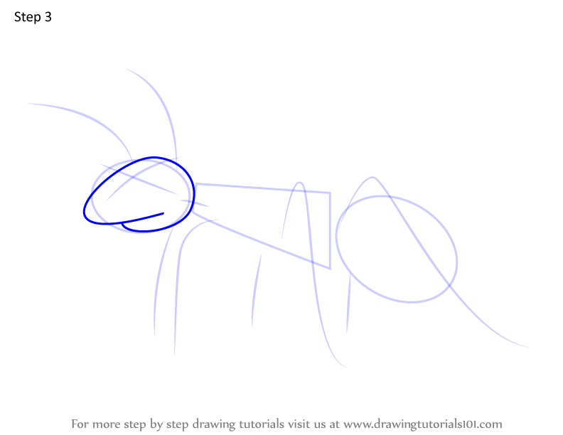 How to Draw Ant from Smiling Friends (Smiling Friends) Step by Step ...