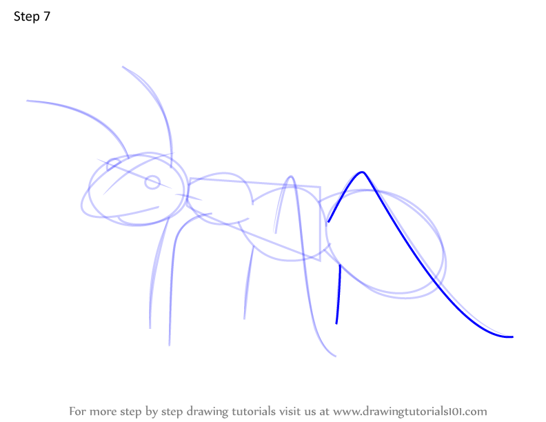 How to Draw Ant from Smiling Friends (Smiling Friends) Step by Step ...