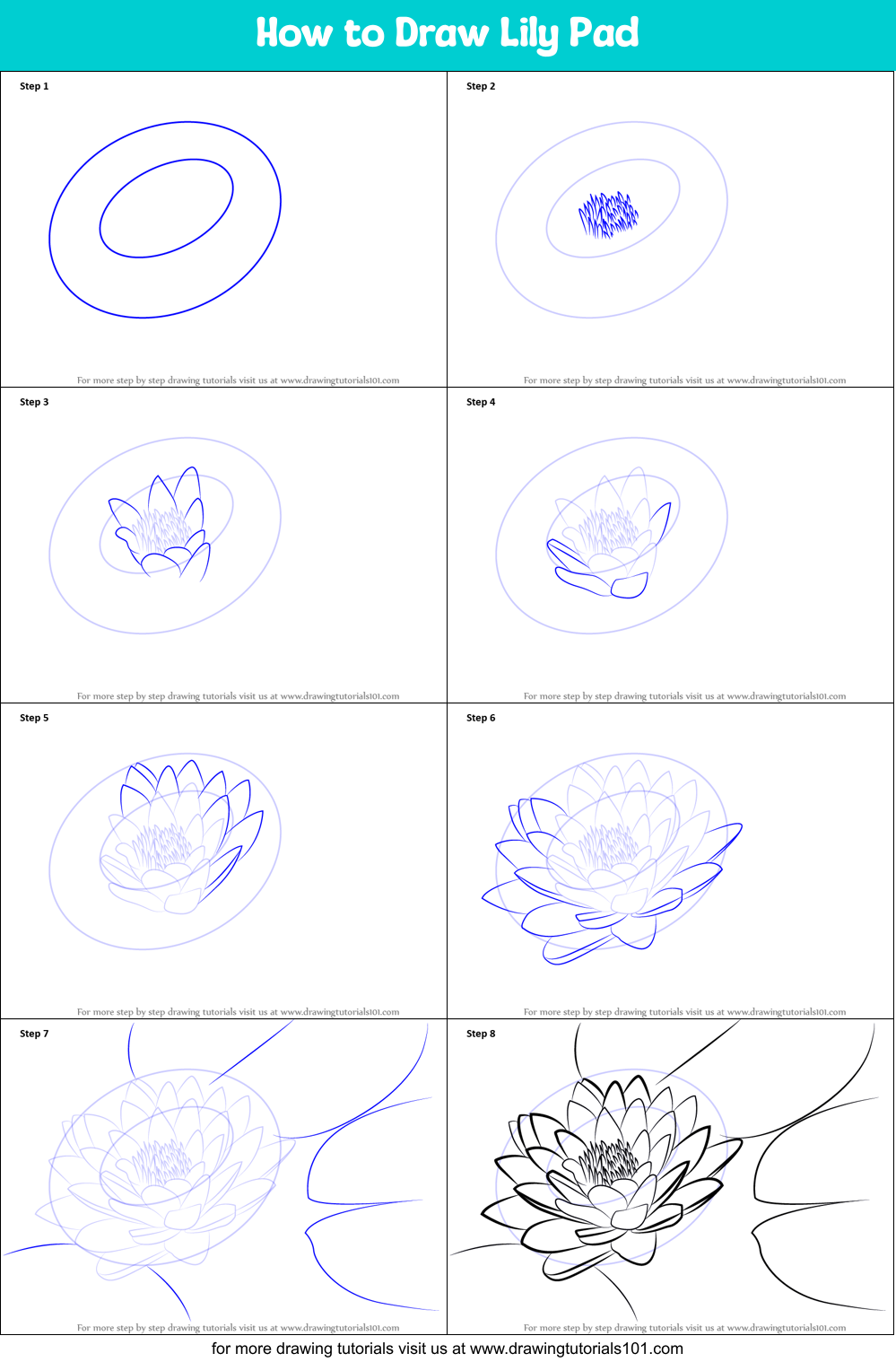 How To Draw Lily Pad Lily Step By Step DrawingTutorials101