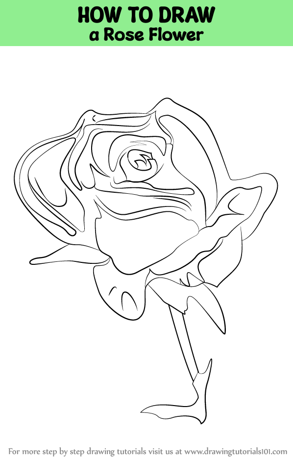 How to Draw a Rose Flower (Rose) Step by Step | DrawingTutorials101.com