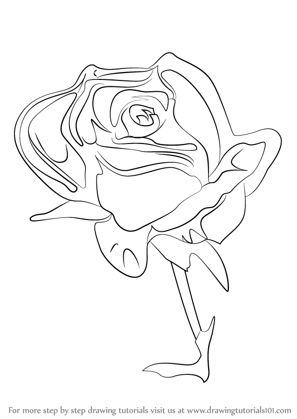 Learn How To Draw A Rose Flower Rose Step By Step Drawing Tutorials