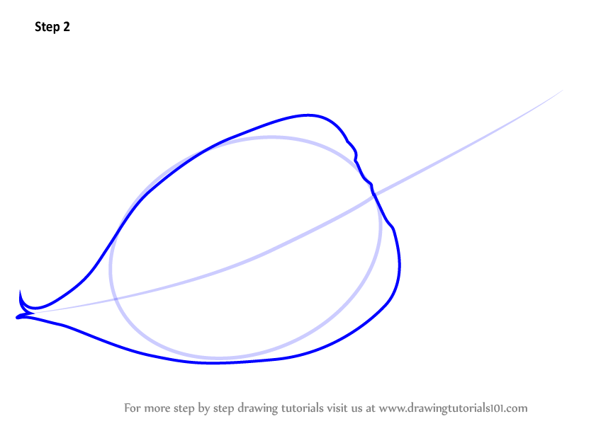 How to Draw a A Single Piece Of Fruit (Fruits) Step by Step ...