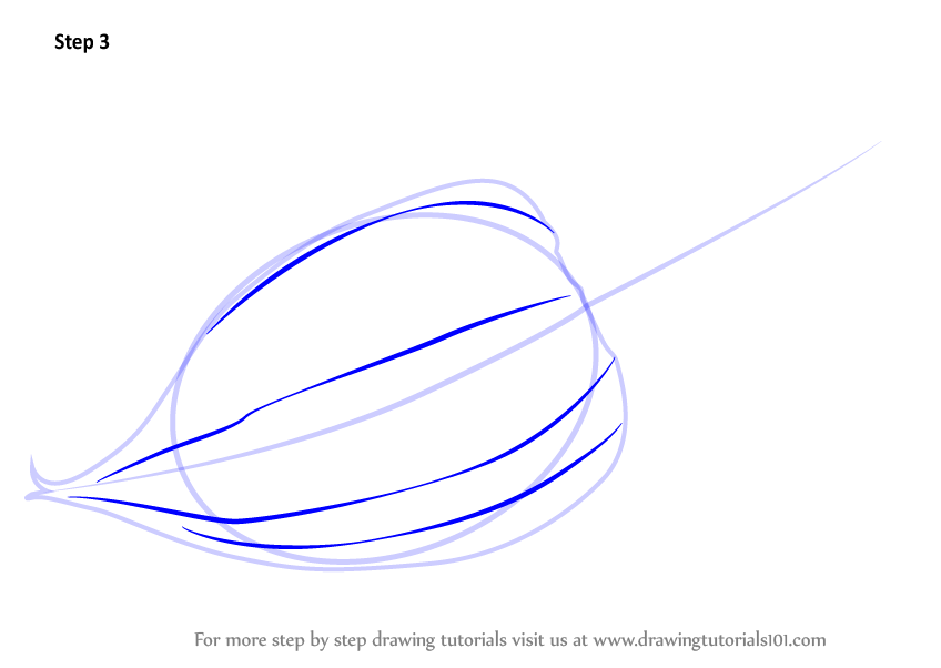 How to Draw a A Single Piece Of Fruit (Fruits) Step by Step ...