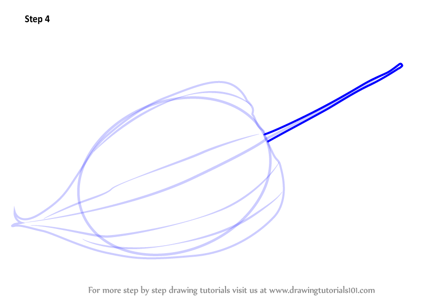 How to Draw a A Single Piece Of Fruit (Fruits) Step by Step ...