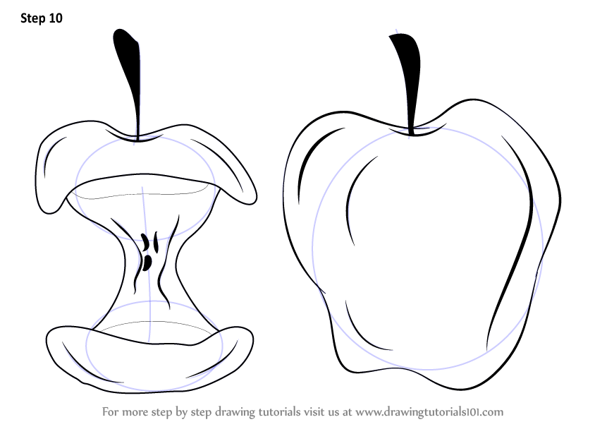 How to Draw an Apple (Fruits) Step by Step | DrawingTutorials101.com