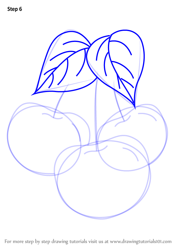 How to Draw Plums (Fruits) Step by Step | DrawingTutorials101.com