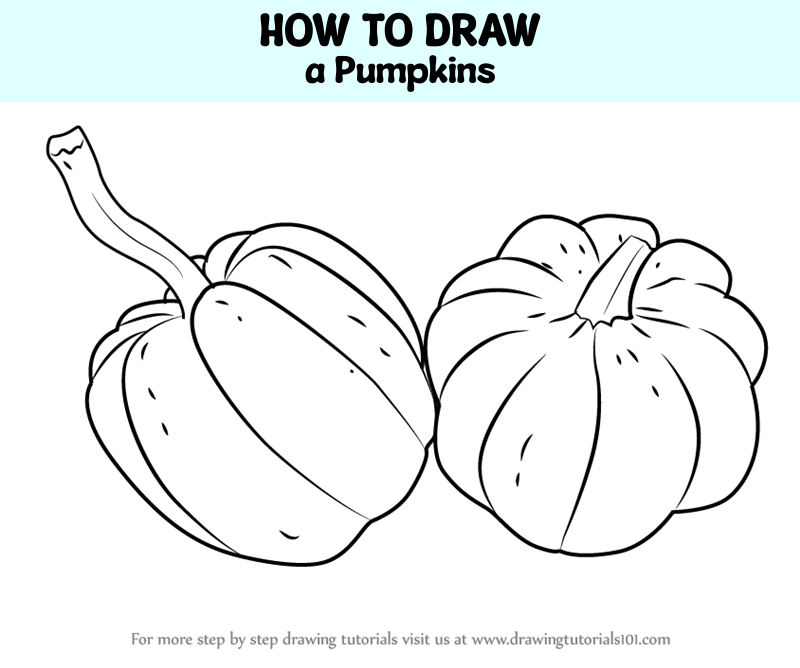 How to Draw a Pumpkins (Fruits) Step by Step | DrawingTutorials101.com