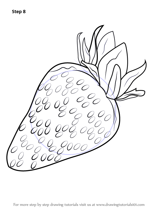 How to Draw Strawberry (Fruits) Step by Step | DrawingTutorials101.com
