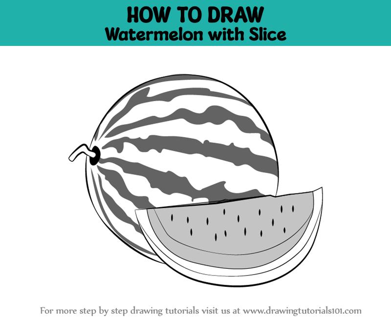 How to Draw Watermelon with Slice (Fruits) Step by Step ...