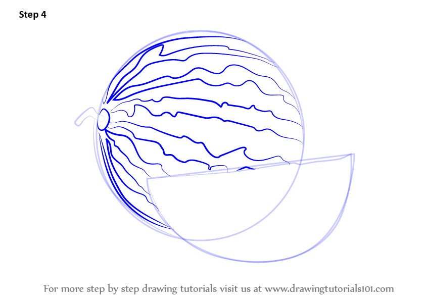 How to Draw Watermelon with Slice (Fruits) Step by Step ...