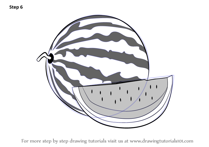 How to Draw Watermelon with Slice (Fruits) Step by Step ...