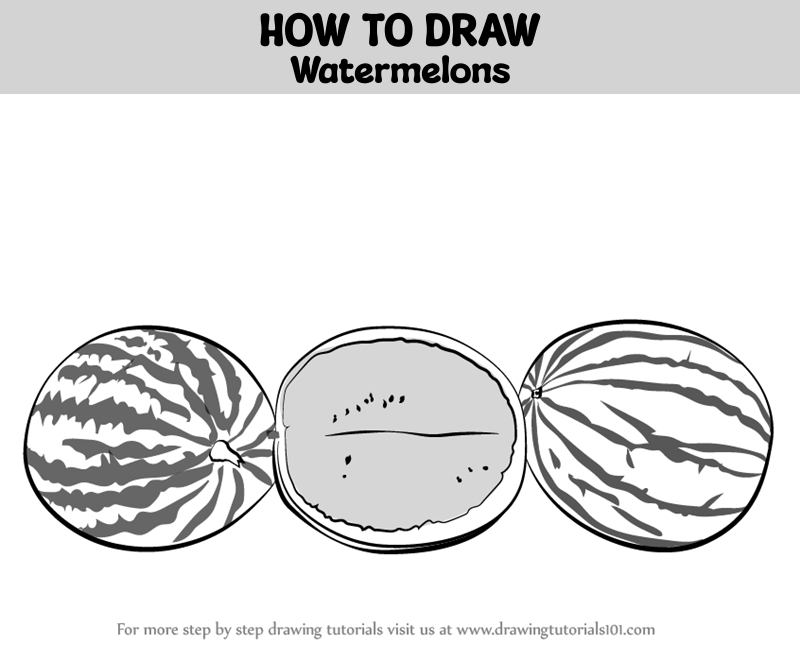 How to Draw Watermelons (Fruits) Step by Step | DrawingTutorials101.com