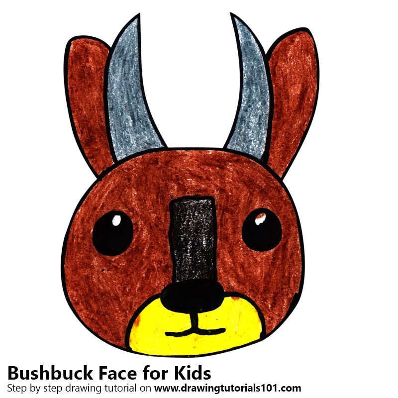 Step by Step How to Draw a Bushbuck Face for Kids : DrawingTutorials101.com