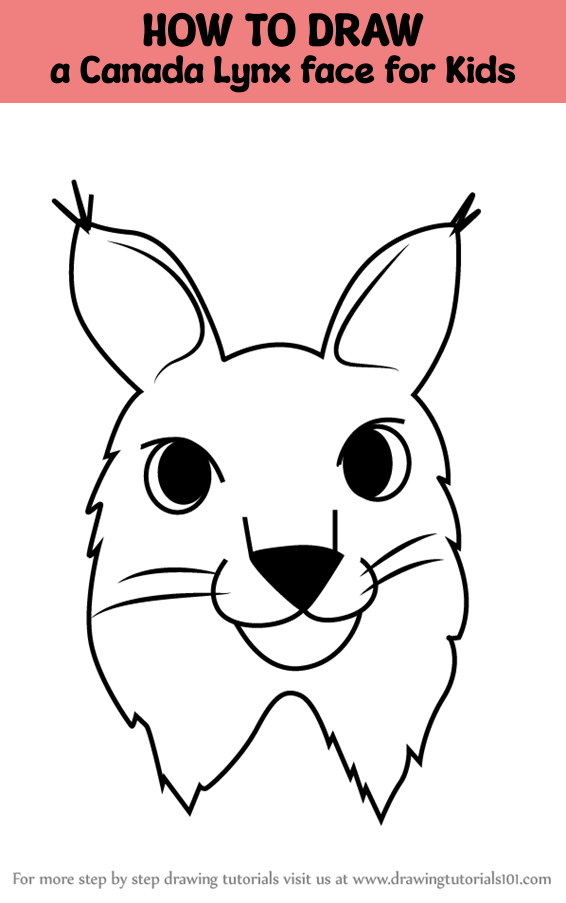 How to Draw a Canada Lynx face for Kids (Animal Faces for Kids) Step by ...
