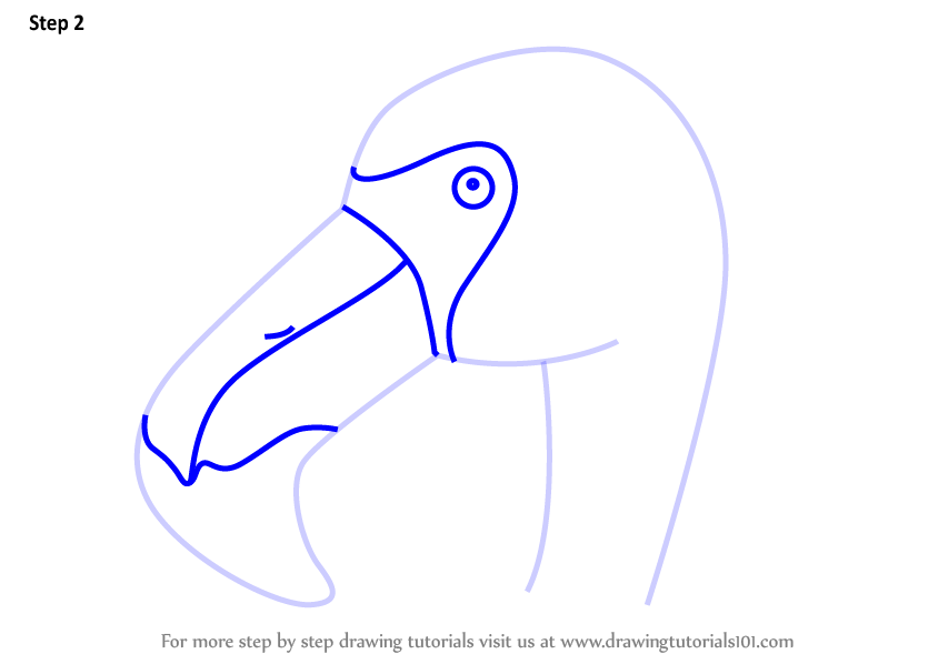 Flamingo Head Drawing Head Flamingo Isolated Stock Illustrations