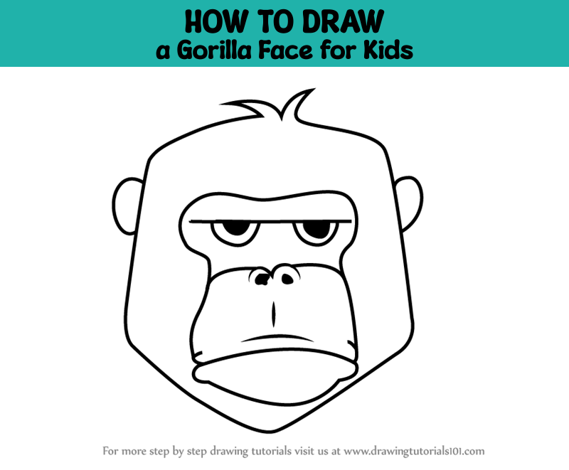 Gorilla Drawing Easy How To Draw A Gorilla In A Few Easy Steps: