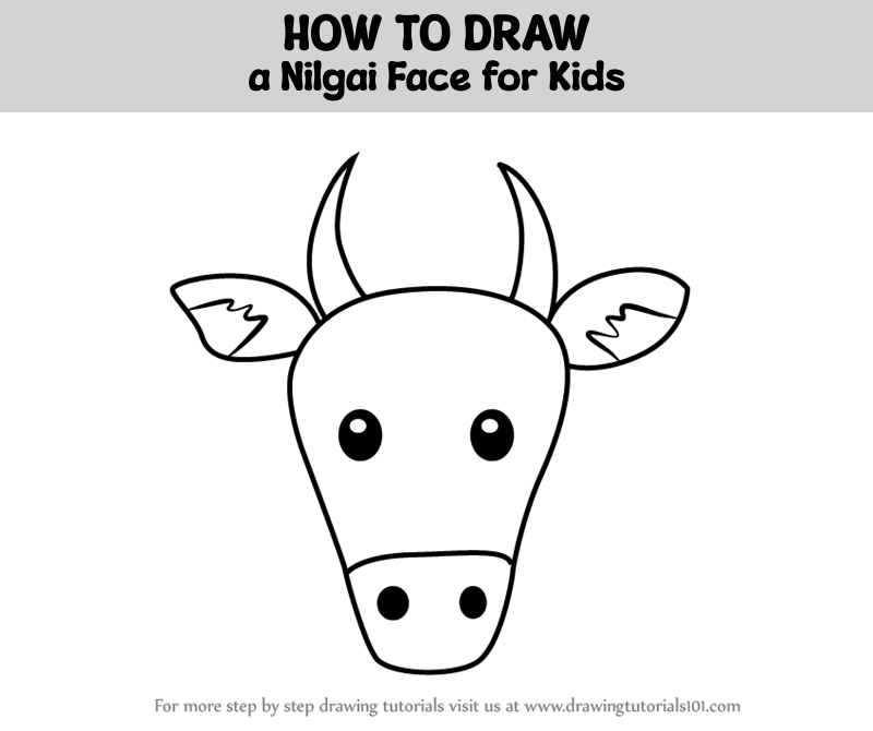 How to Draw a Nilgai Face for Kids (Animal Faces for Kids) Step by Step ...