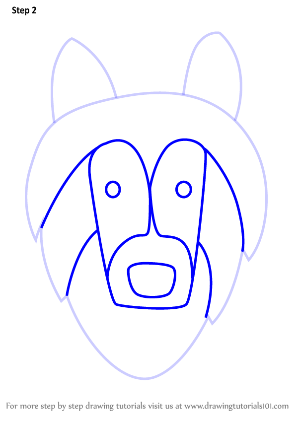 How to Draw a Shetland Sheepdog Face for Kids (Animal Faces for Kids ...