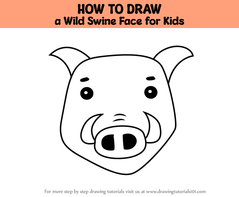 How to Draw a Wild Swine Face for Kids (Animal Faces for Kids) Step by ...